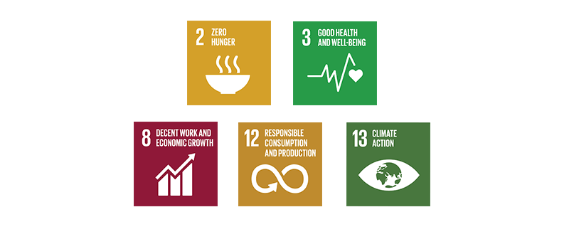 News - greenyard.group